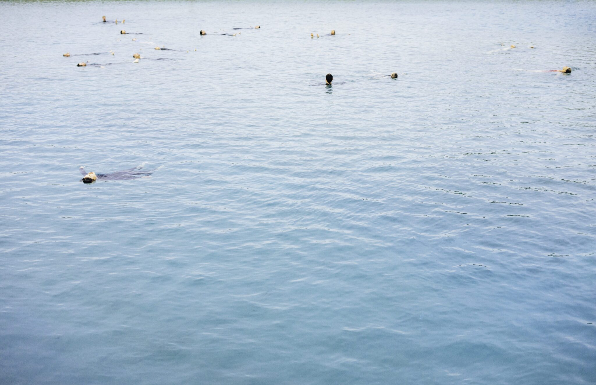 Cold Water Dip - The Wave